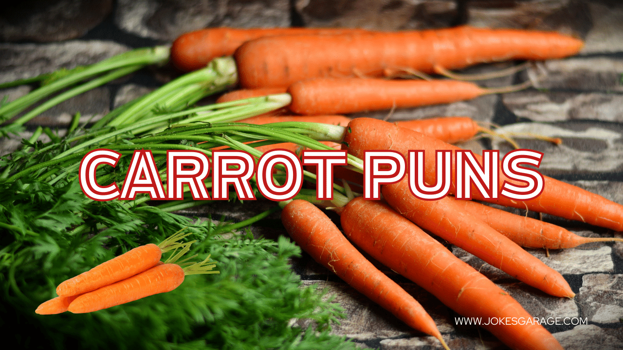 80 Short Carrot Puns - Jokes Garage