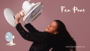 100 Funny Fan Puns - Jokes Garage