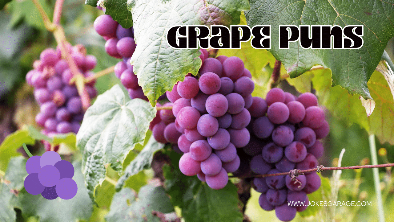 80 Funny Grape Puns - Jokes Garage