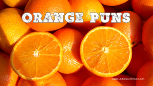 60 Orange Puns Cute - Jokes Garage