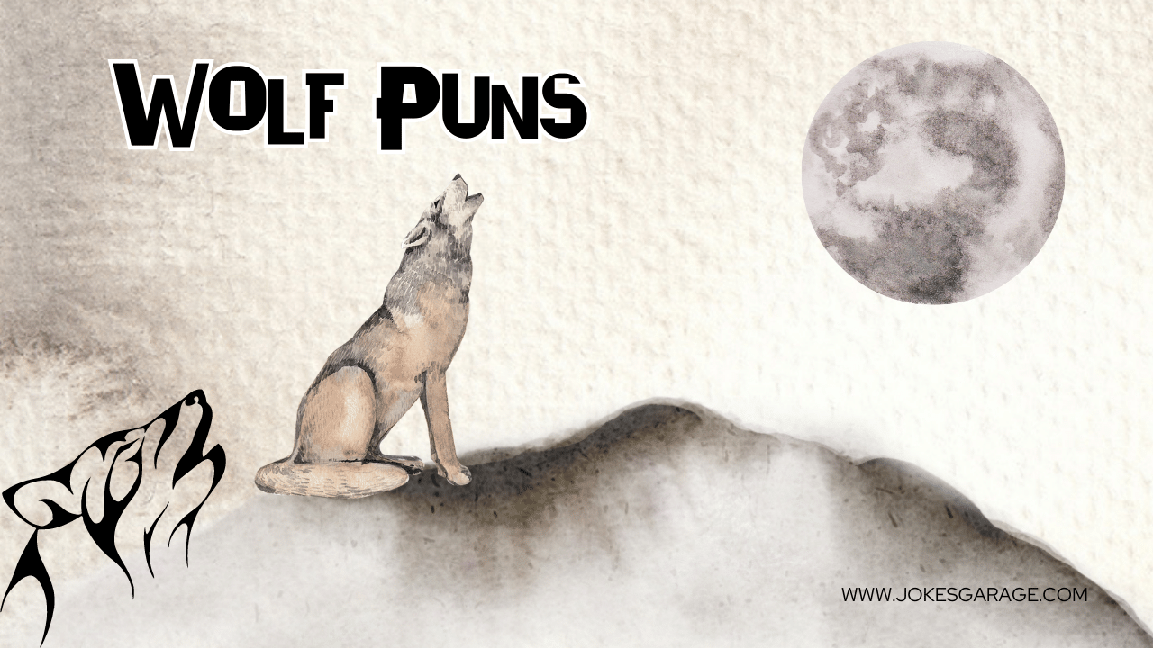 68 Funny Wolf Puns - Jokes Garage
