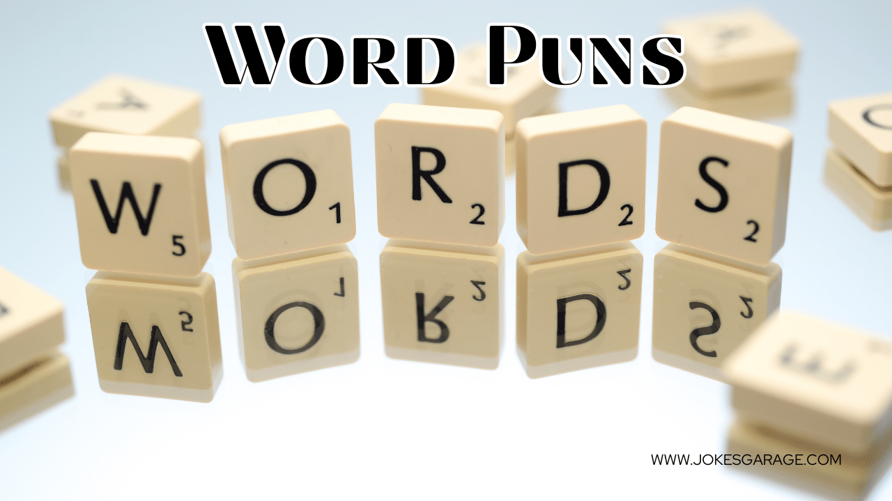 79 Word Puns One Liner - Jokes Garage