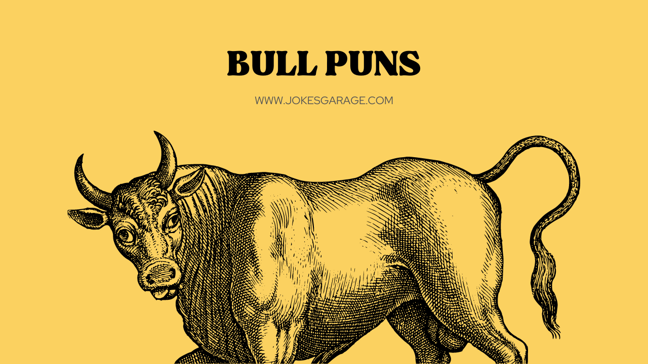 60 Short Bull Puns - Jokes Garage
