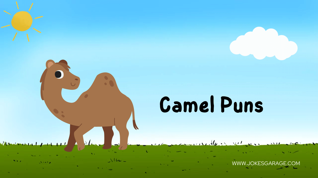 71 Clean Camel Puns Jokes Garage
