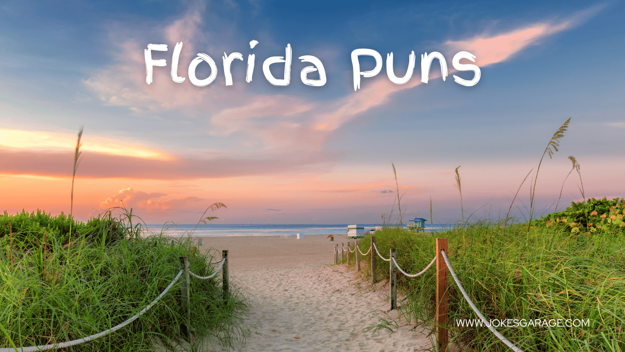 80 Funny Florida Puns - Jokes Garage