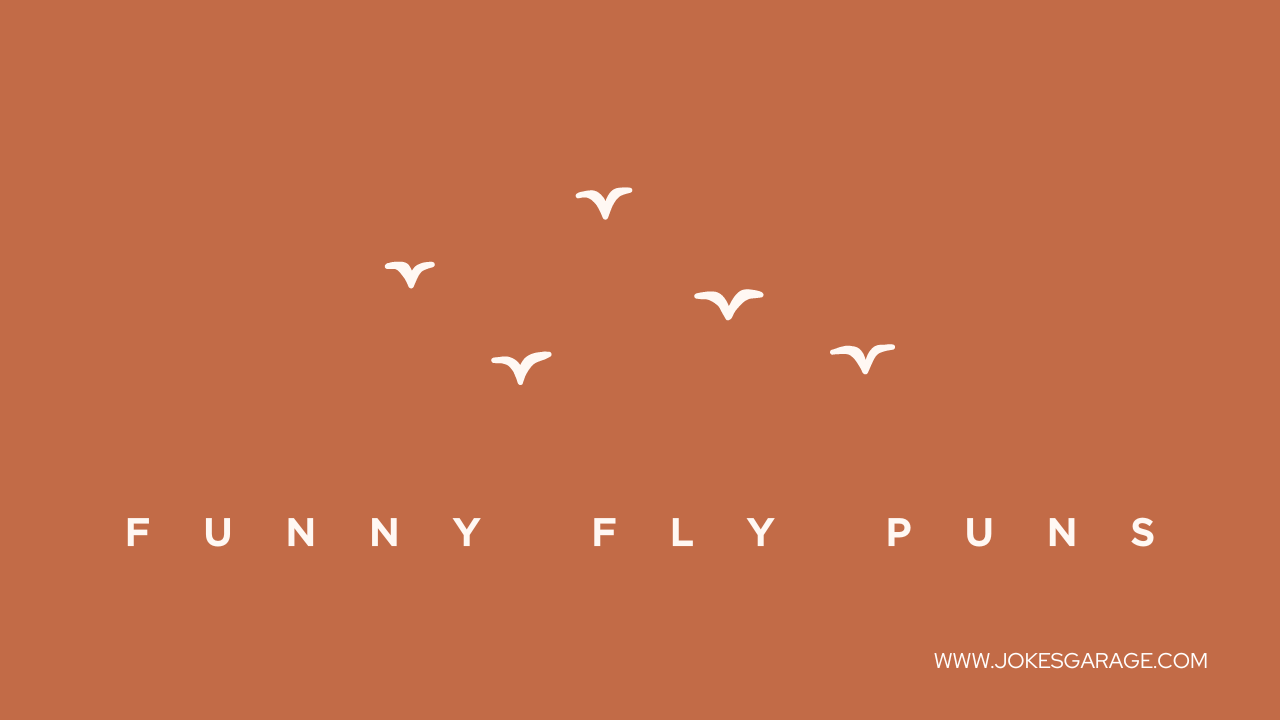 60 Short Fly Puns - Jokes Garage
