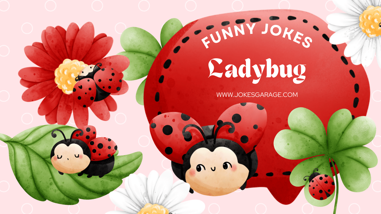 60 Ladybug Puns One Liner - Jokes Garage