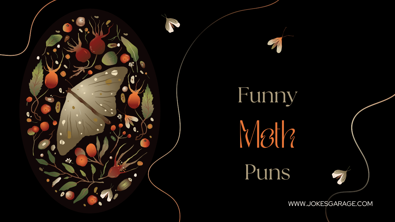 79 Short Moth Puns - Jokes Garage 79 Short Moth Puns - Jokes Garage