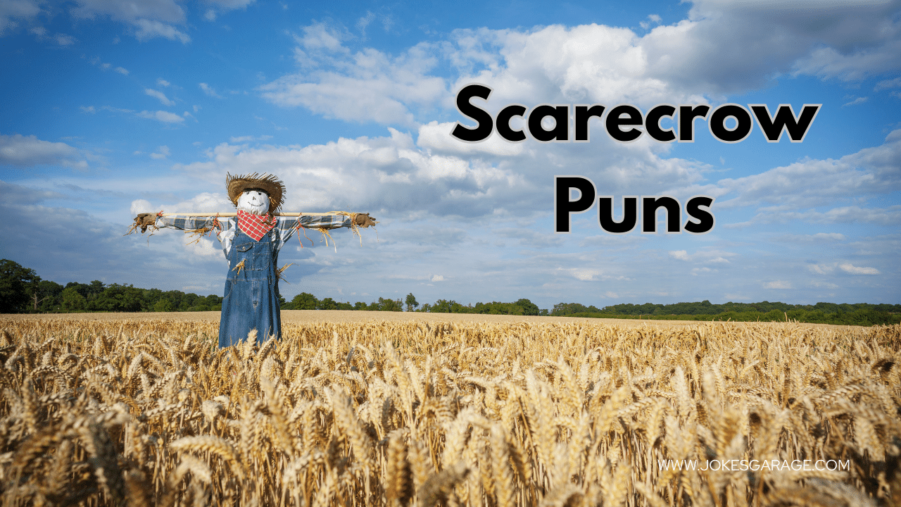 100 Scarecrow Puns One Liner - Jokes Garage