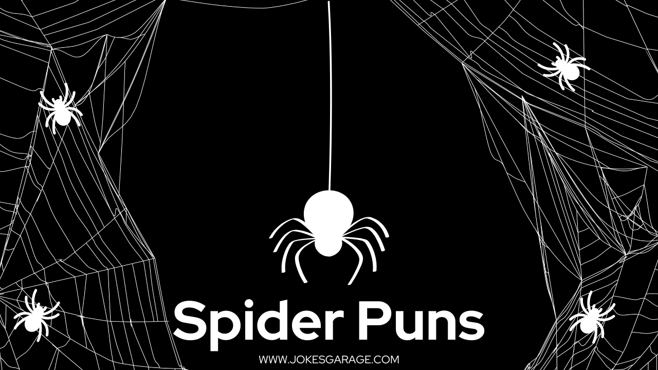 60 Spider Puns One Liner - Jokes Garage
