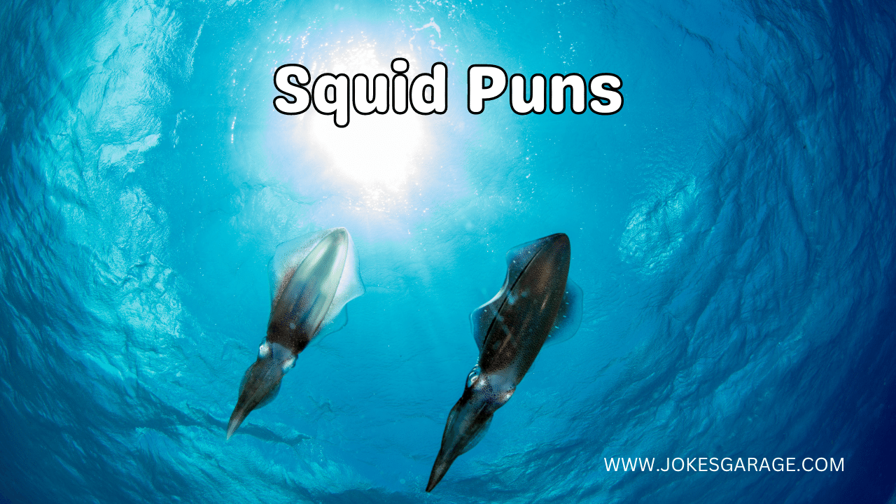 80 Funny Squid Puns - Jokes Garage