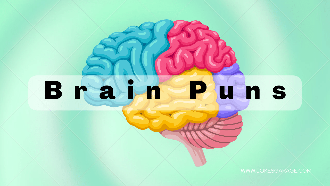 80 Short Brain Puns - Jokes Garage