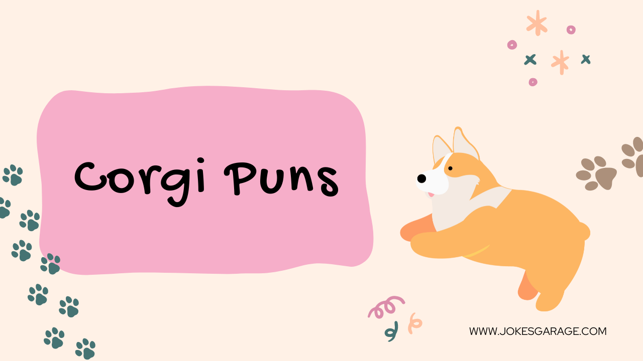80 Cute Corgi Puns - Jokes Garage