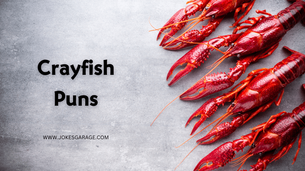 60 Short Crawfish Puns - Jokes Garage