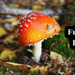 60 Get Well Soon Puns One Liner - Jokes Garage