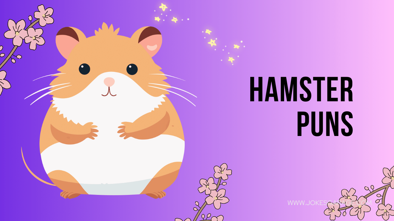 73 Cute Hamster Puns - Jokes Garage