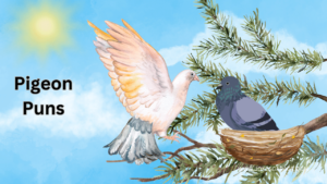80 Short Pigeon Puns - Jokes Garage