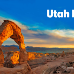 71 Full Circle Puns - Jokes Garage