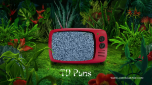 58 Short TV Puns - Jokes Garage
